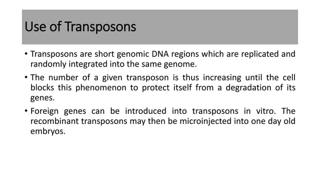Transgenesis in animals | PPTX | Biological Sciences | Science