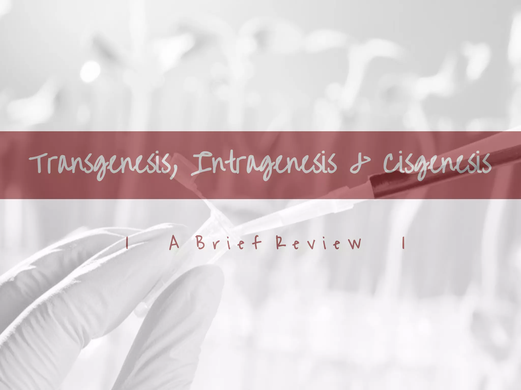 Transgenesis, Intragenesis and Cisgenesis: A Brief Review | PDF