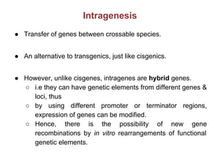 Transgenesis, Intragenesis and Cisgenesis: A Brief Review | PDF