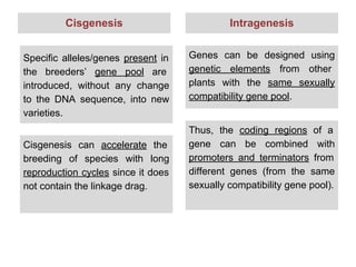 Transgenesis, Intragenesis and Cisgenesis: A Brief Review | PDF