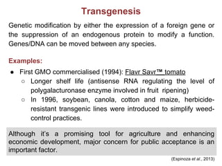 Transgenesis, Intragenesis and Cisgenesis: A Brief Review | PDF