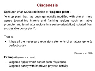 Transgenesis, Intragenesis and Cisgenesis: A Brief Review | PDF