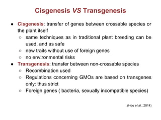 Transgenesis, Intragenesis and Cisgenesis: A Brief Review | PDF
