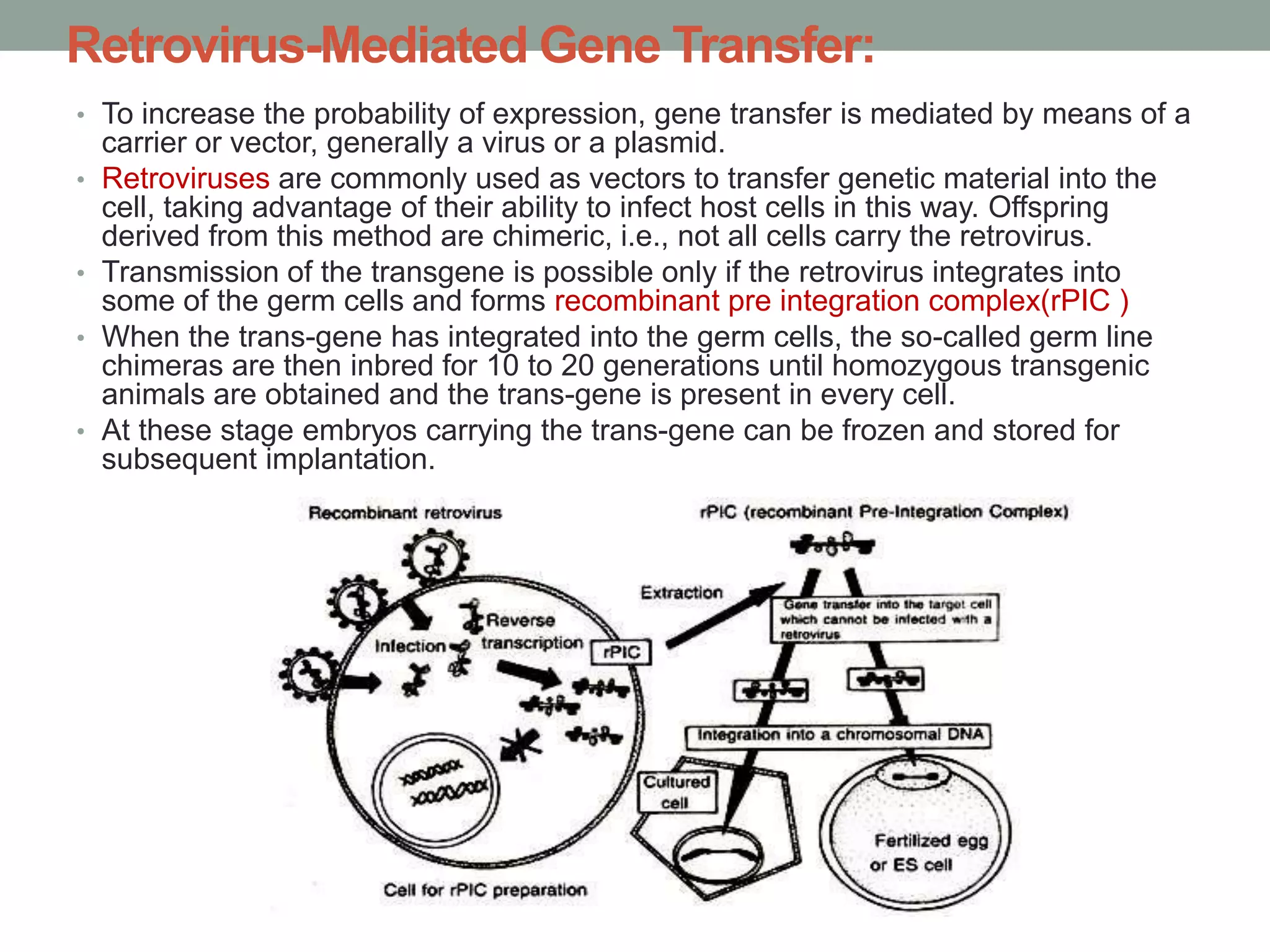 Transgenesis methods and applications | PPTX
