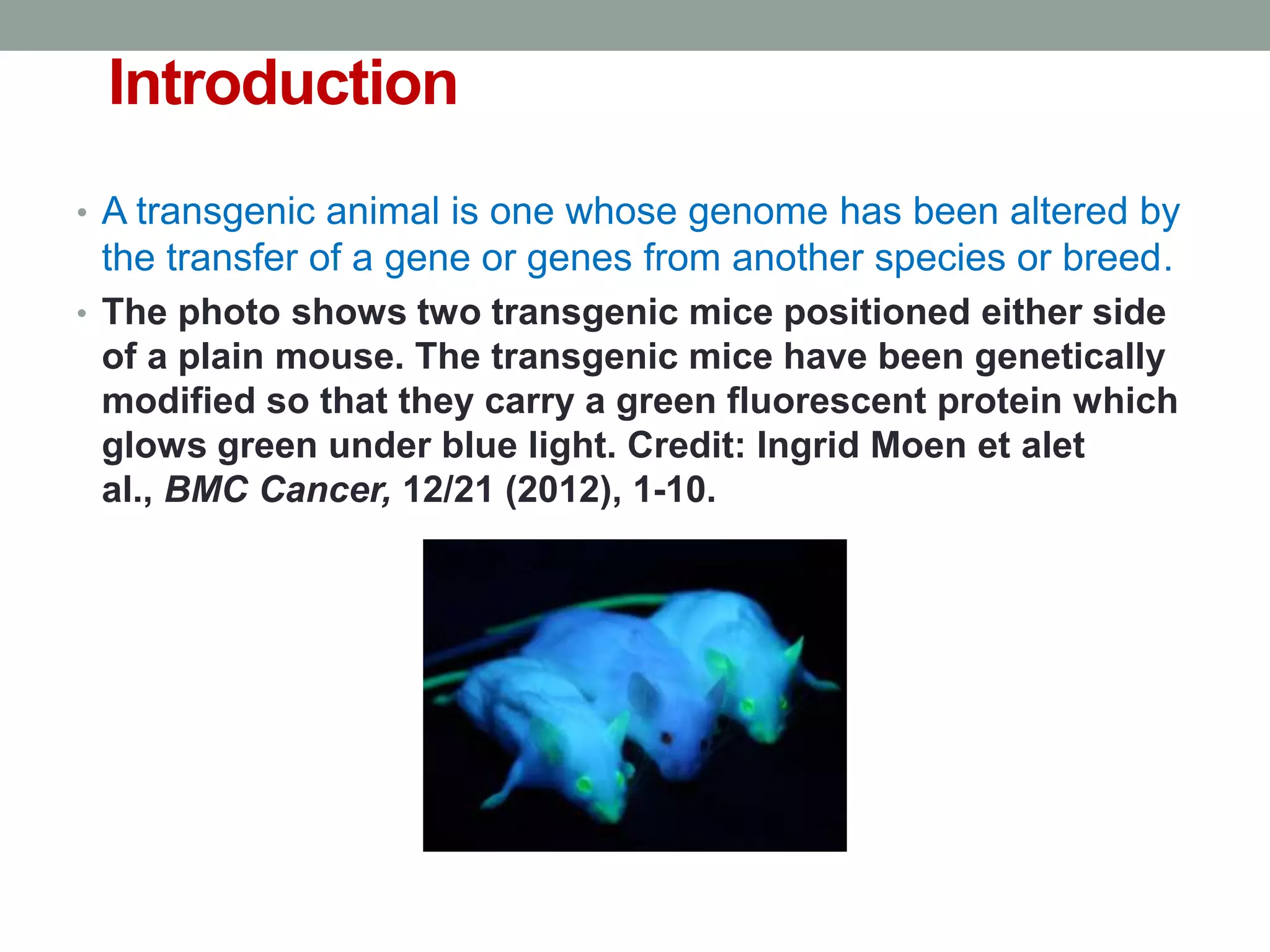 Transgenesis methods and applications | PPTX
