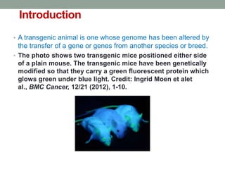 Transgenesis methods and applications | PPTX
