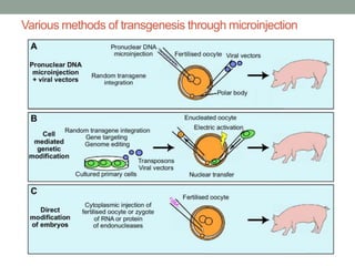 Transgenesis methods and applications | PPTX