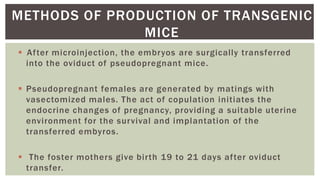 Transgenic.pptx