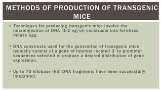Transgenic.pptx