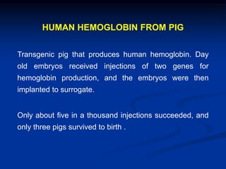 Transgenic animals which is genetically modified | PPT