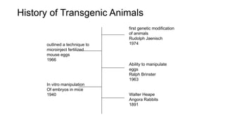 TRANSGENIC-ANIMALS.ppt vector mediated . | PPT