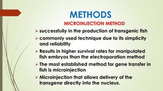 transgenic-fish (1).pdf uses and application | PDF