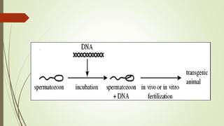 transgenic-fish (1).pdf uses and application | PPT