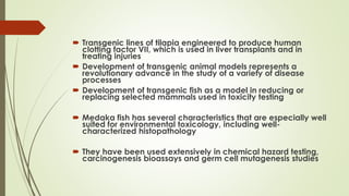 transgenic-fish (1).pdf uses and application | PPT