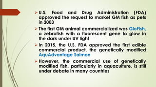 transgenic-fish (1).pdf uses and application | PDF
