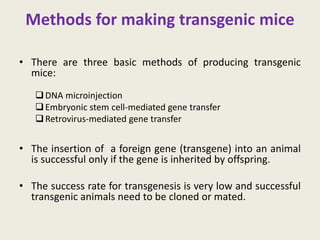 Transgenic mice | PPTX