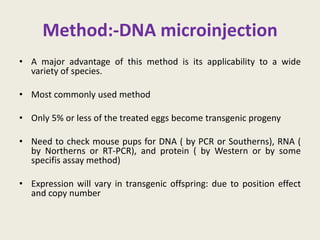 Transgenic mice | PPTX