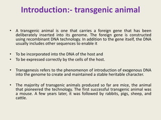 Transgenic mice | PPTX