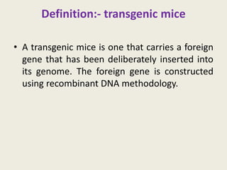 Transgenic mice | PPTX