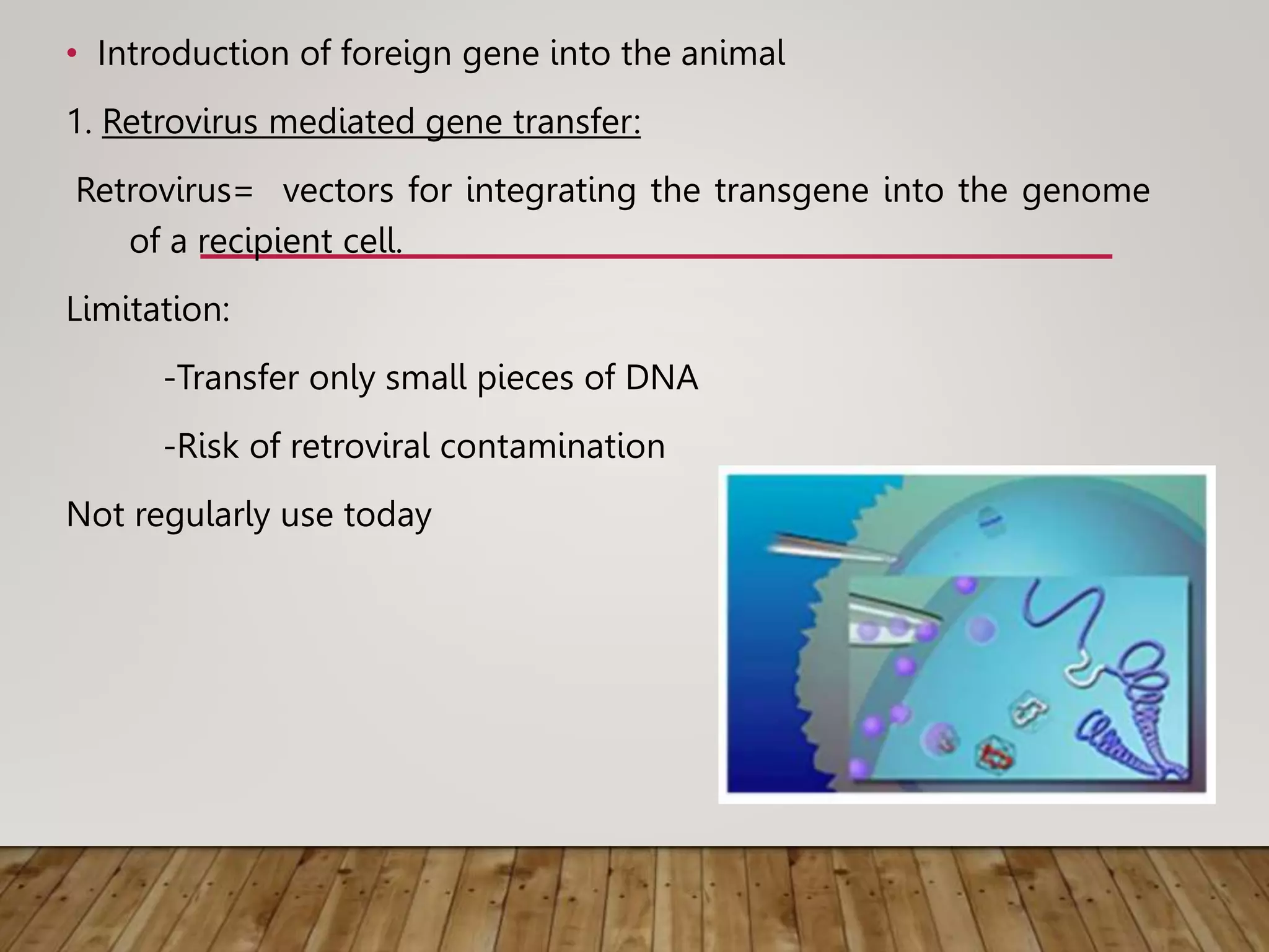 Transgenic-pigs- trilok.pptx