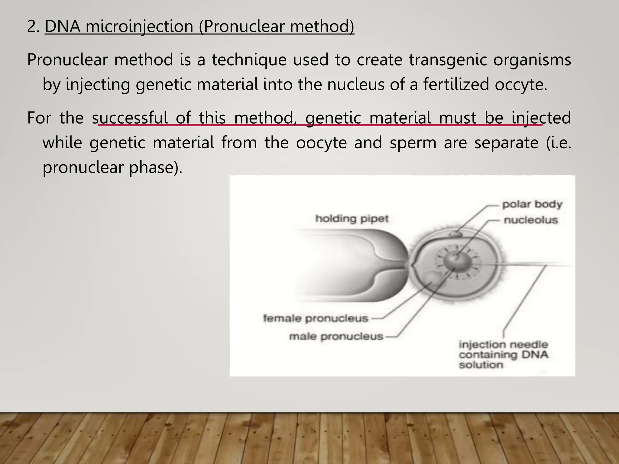 Transgenic-pigs- trilok.pptx