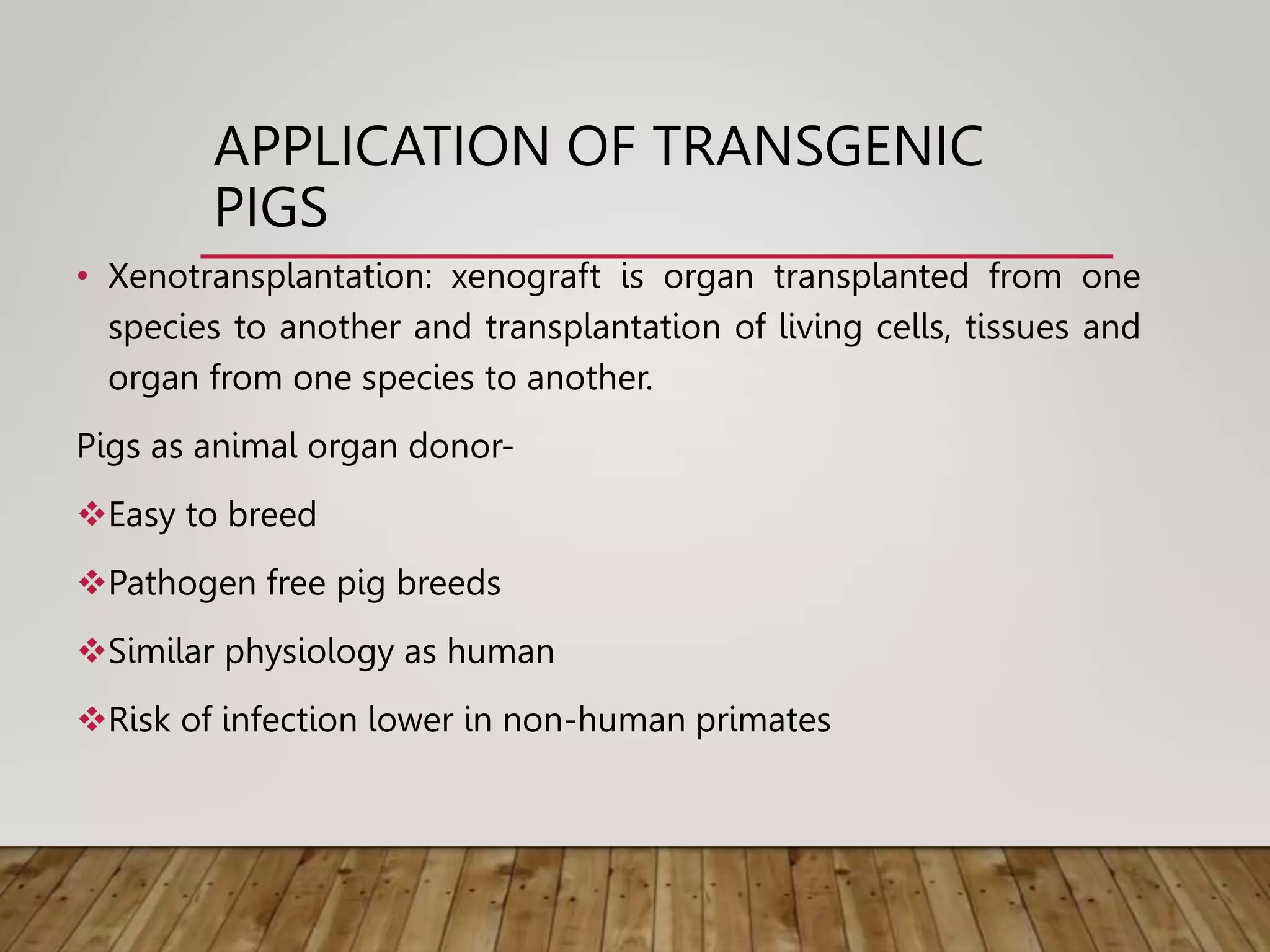 Transgenic-pigs- trilok.pptx