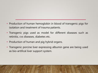 Transgenic-pigs- trilok.pptx