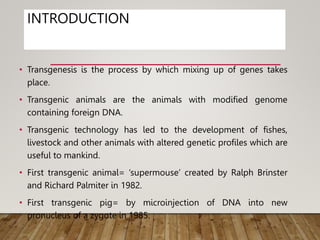 Transgenic-pigs- trilok.pptx