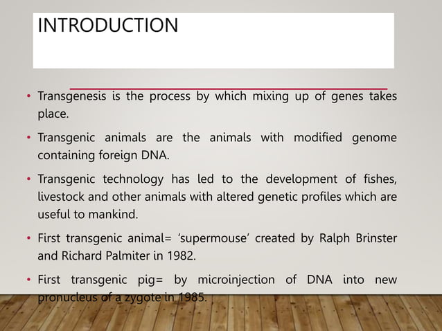 Transgenic-pigs- trilok.pptx