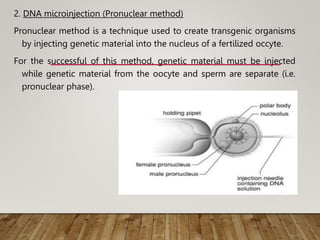 Transgenic-pigs- trilok.pptx
