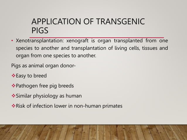 Transgenic-pigs- trilok.pptx