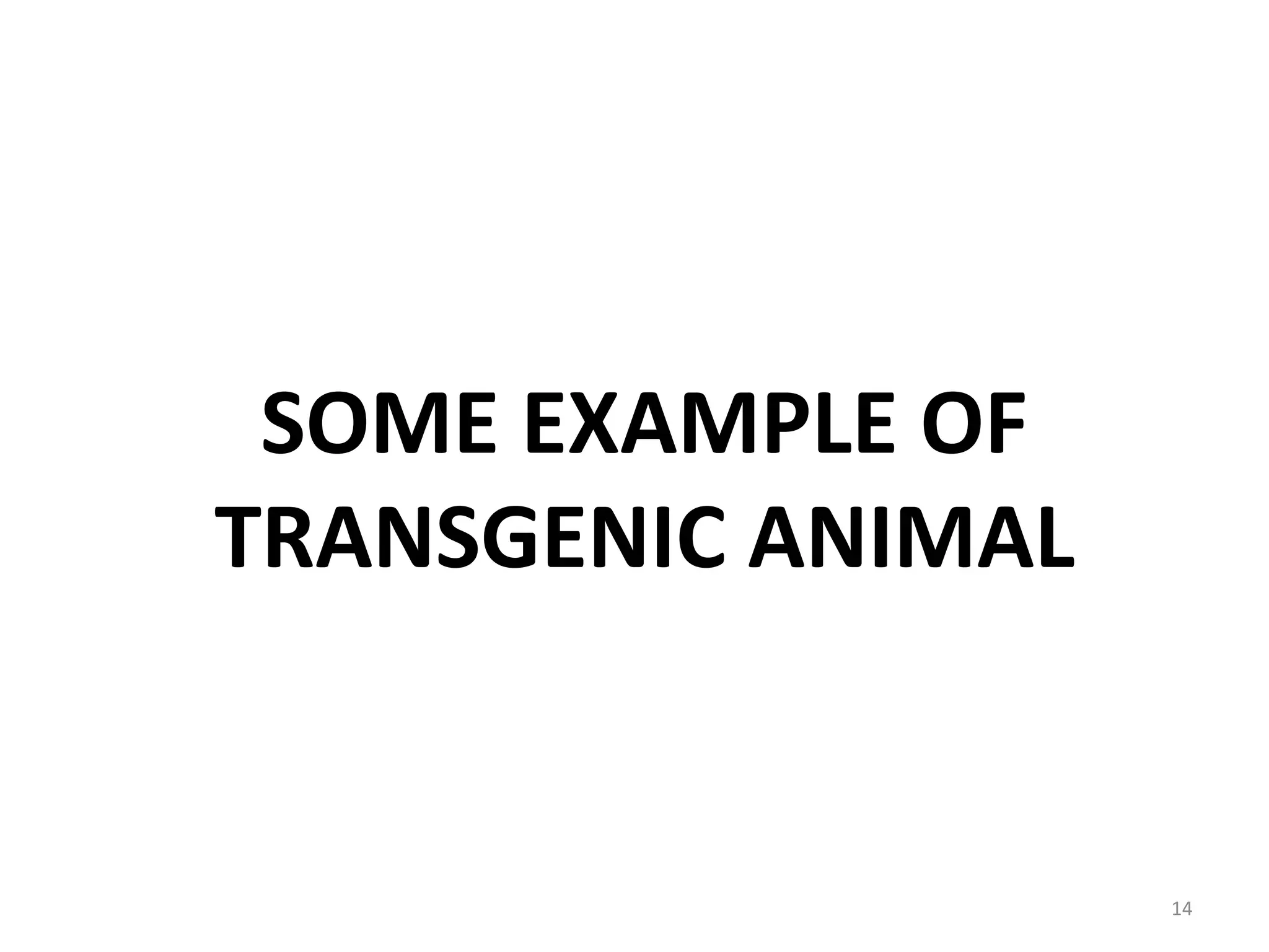 Transgenic Animals.pptx