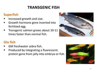 Transgenic Animals.pptx