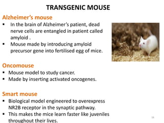 Transgenic Animals.pptx
