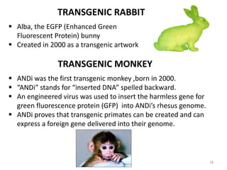 Transgenic Animals.pptx