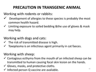 Transgenic Animals.pptx