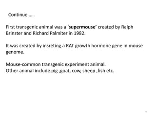 Transgenic Animals.pptx