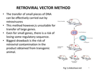 Transgenic Animals.pptx
