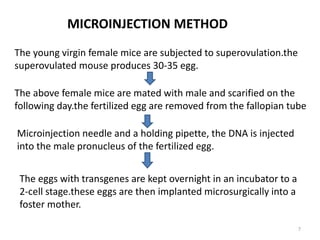 Transgenic Animals.pptx