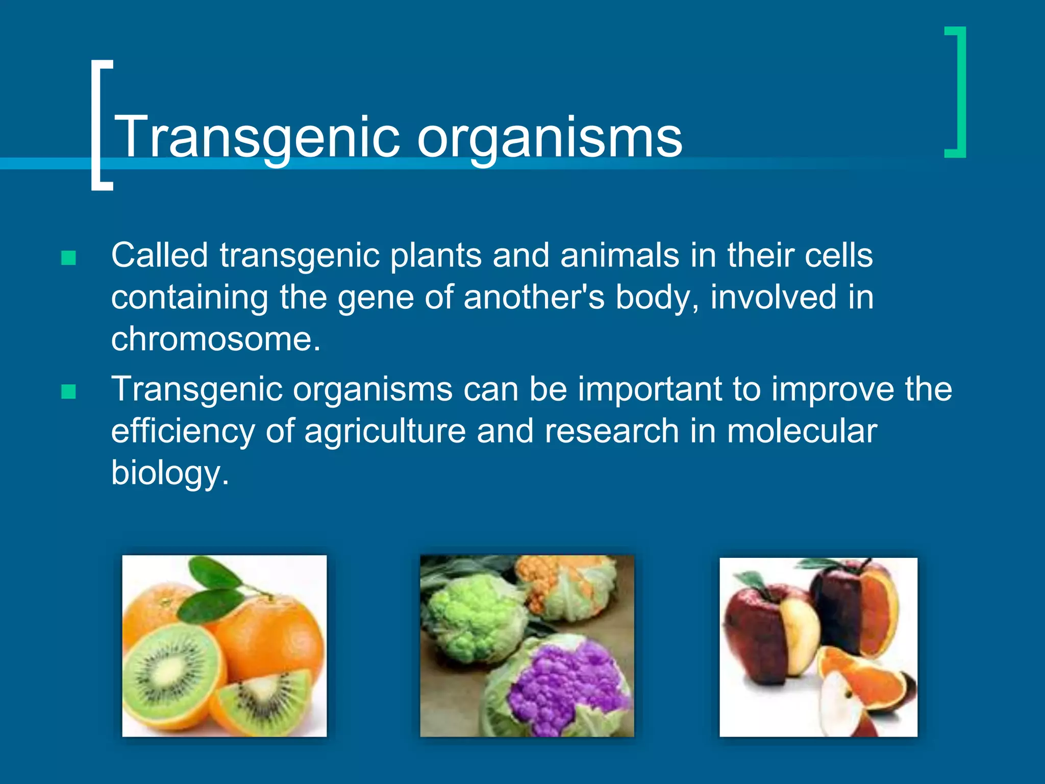 Transgenic and chimeric organisms (GMO) | PPSX