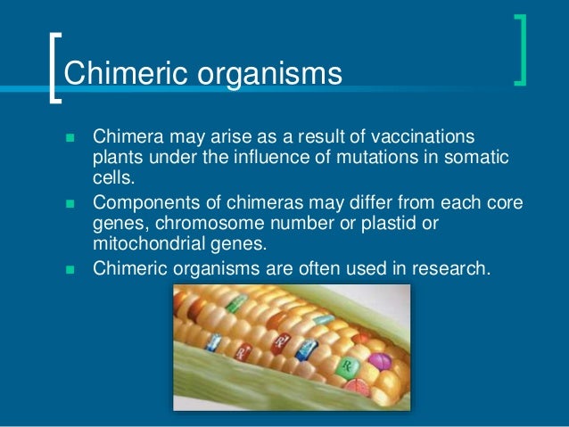 Transgenic and chimeric organisms (GMO)