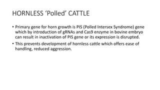 TRANSGENIC AND GENOME EDITED ANIMALS,.pptx