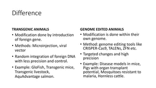 TRANSGENIC AND GENOME EDITED ANIMALS,.pptx