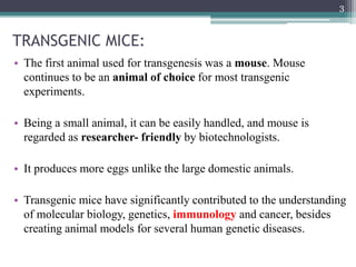 Transgenic and knockout mice | PPTX