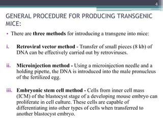 Transgenic and knockout mice | PPTX