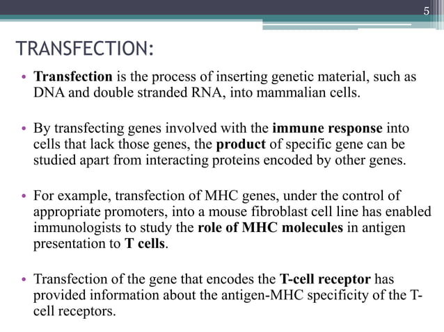 Transgenic and knockout mice | PPTX