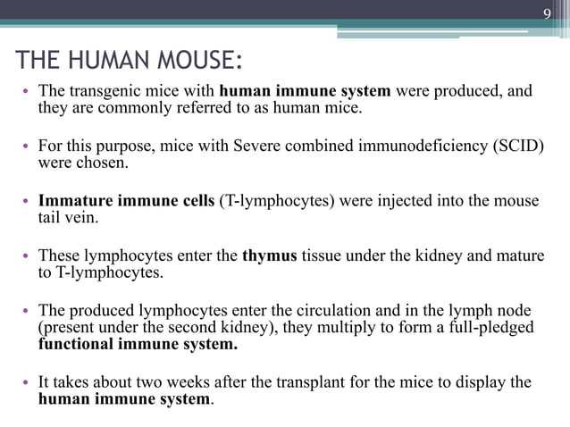 Transgenic and knockout mice | PPTX