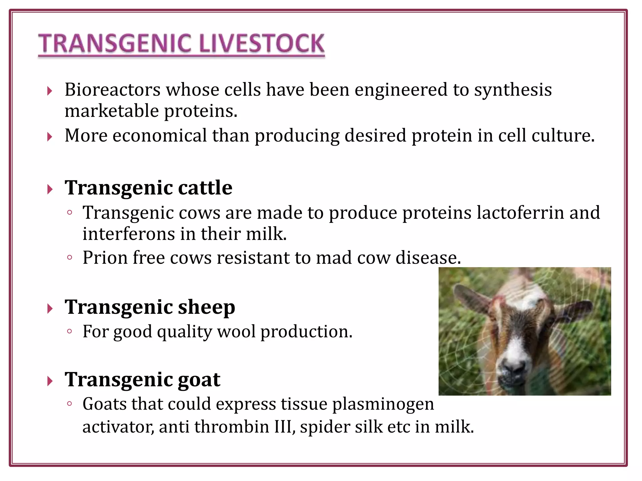 Transgenic animals | PPTX