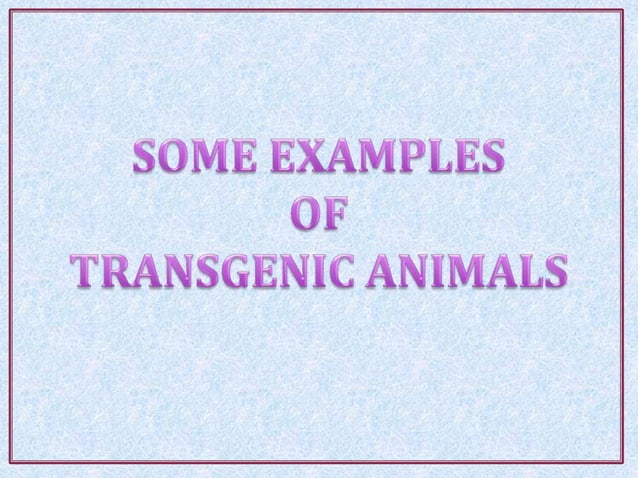 Transgenic animals | PPTX | Genetics | Science