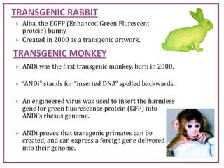 Transgenic animals | PPTX | Genetics | Science